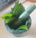 Cooking with Lemon Myrtle – Jane Grows Garden Rooms