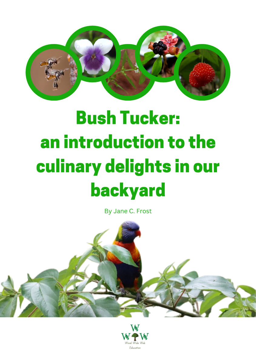 An Introduction to Australian Bush Tucker – Jane Grows Garden Rooms
